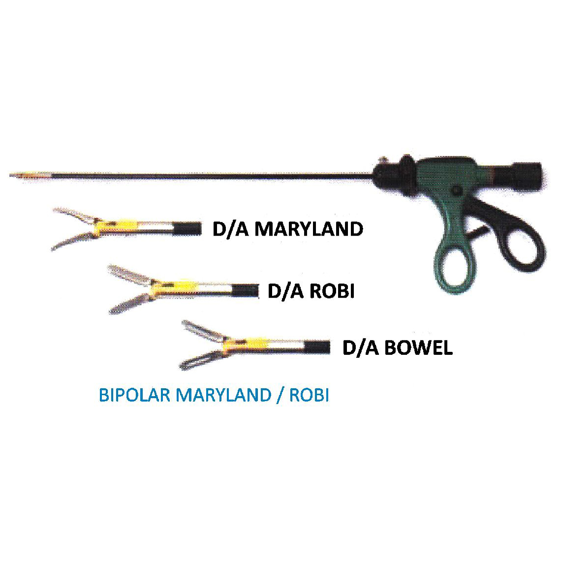 Home Bipolars Bipolar Maryland-Robi